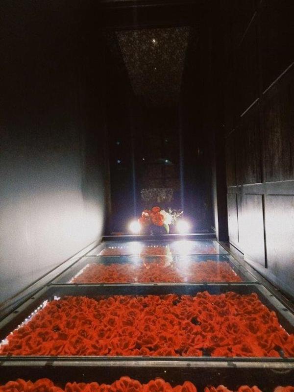 Room 305 | HOTEL COLORS